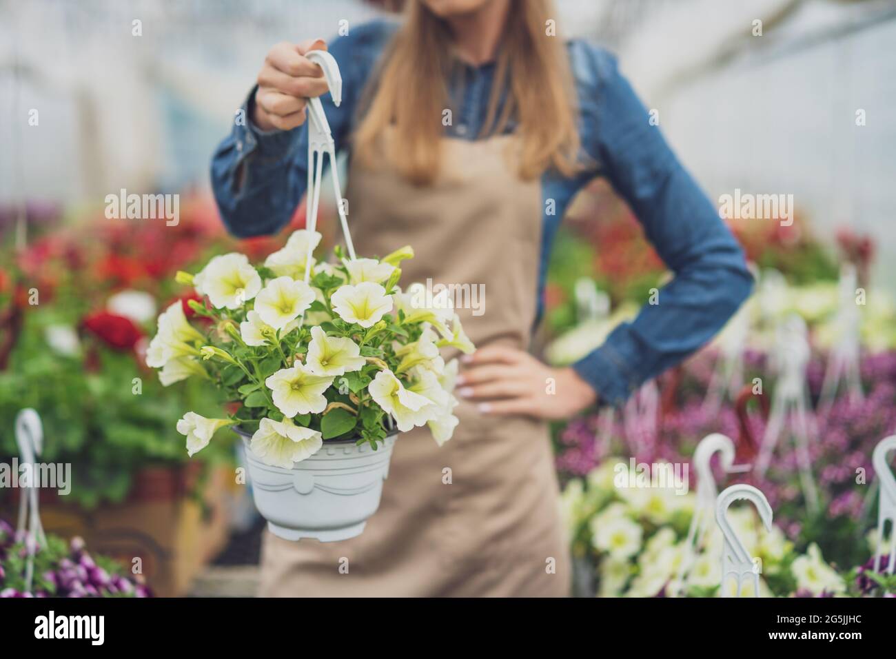 Woman is owning small business greenhouse store. She is holding flower in pot. Female ...