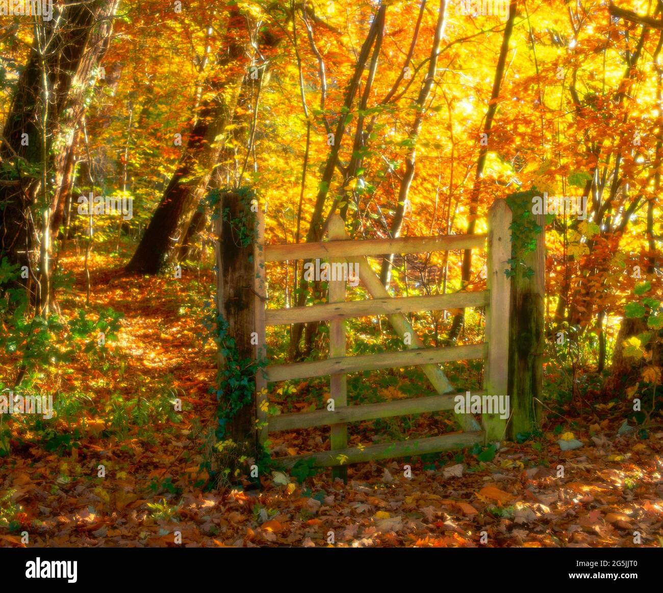 Five barred gate hi-res stock photography and images - Alamy