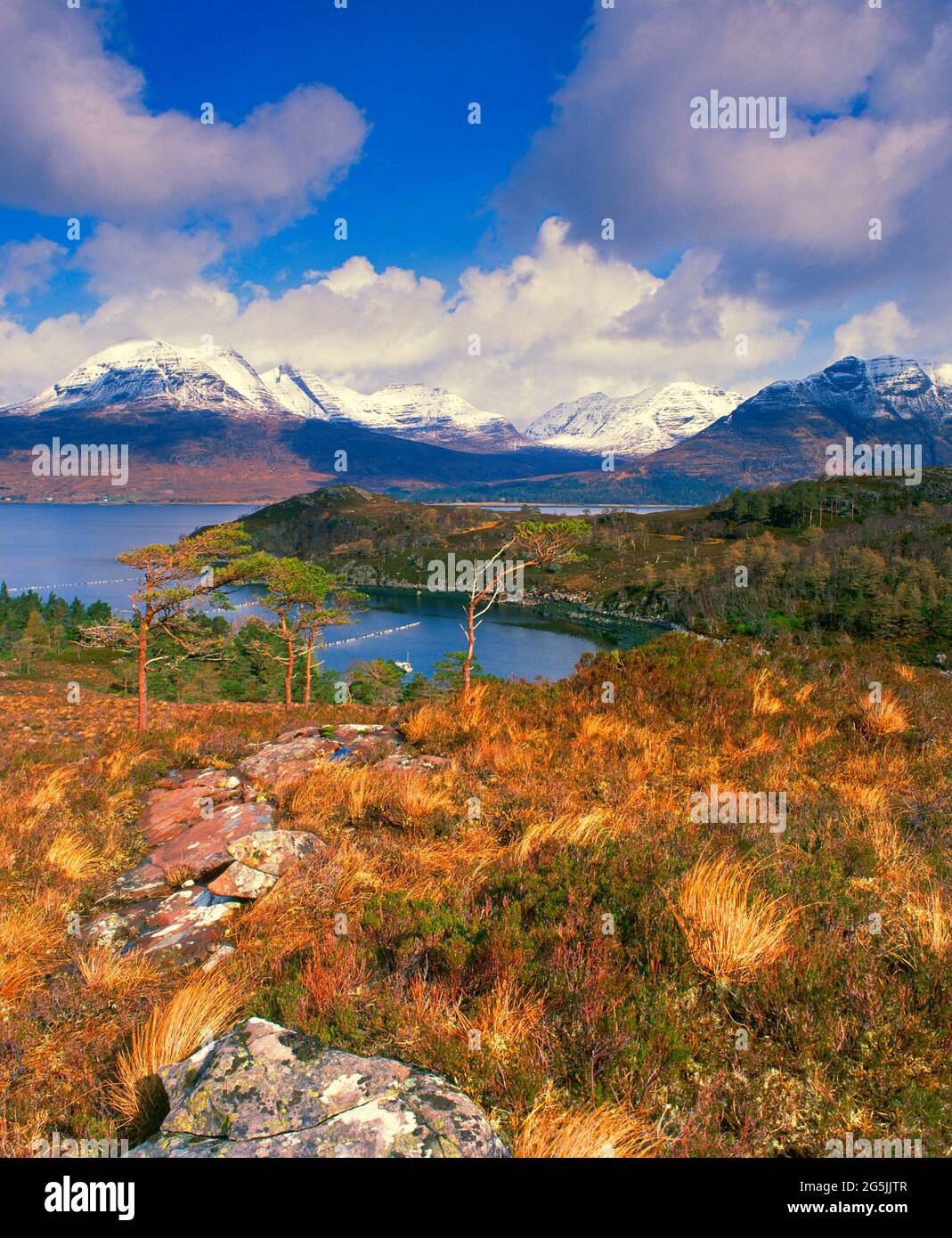 UK, Scotland, Highlands, Upper Loch Torridon, spring, with weathered ...