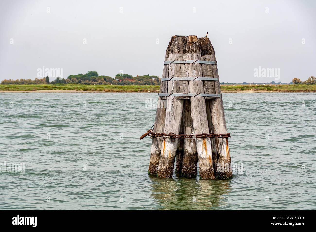 Wooden piles in the Lagoon of Venice for mooring ships and gondolas ...