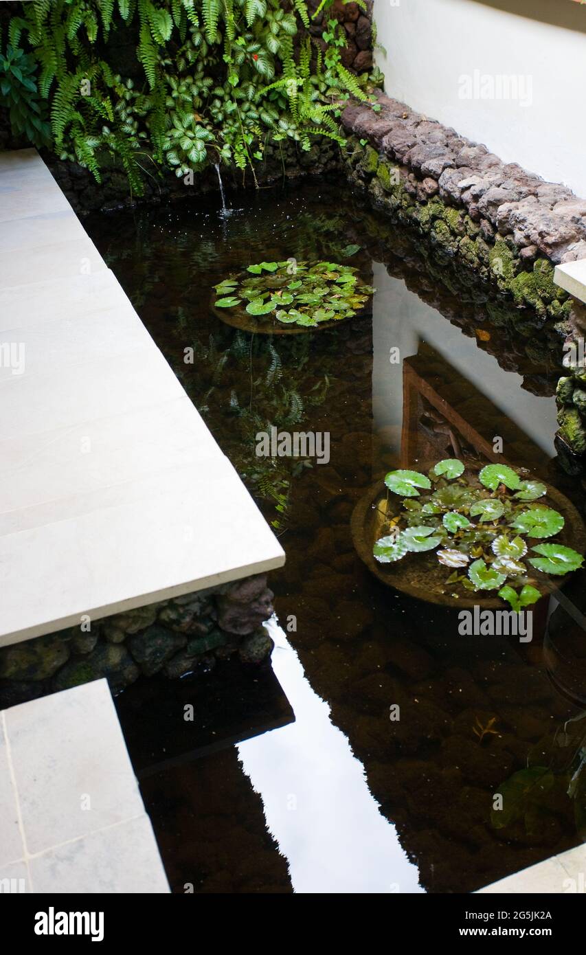 Balinese contempory fish pond surrounded with white paving and stone ...