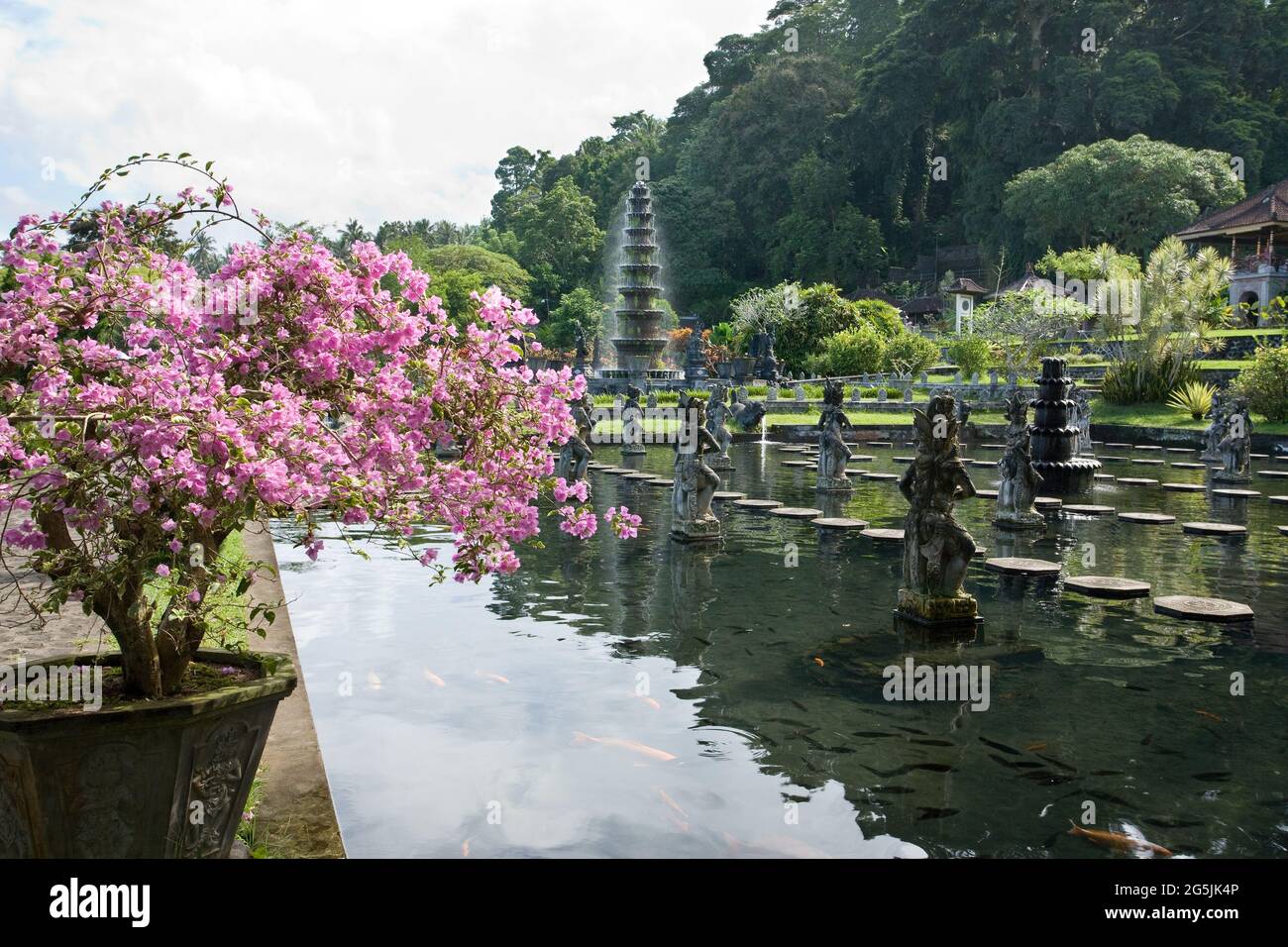 Container Wassergarten