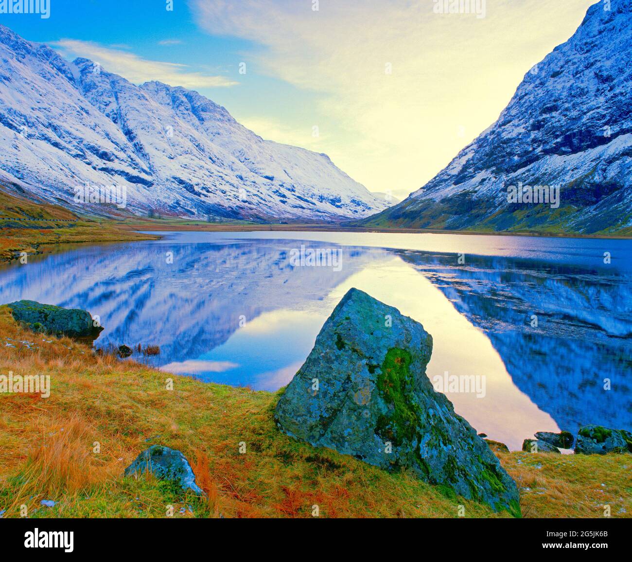 Are representative of coe hi-res stock photography and images - Alamy