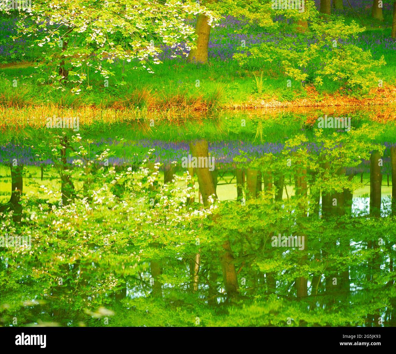 Natural spring waters hi-res stock photography and images - Alamy