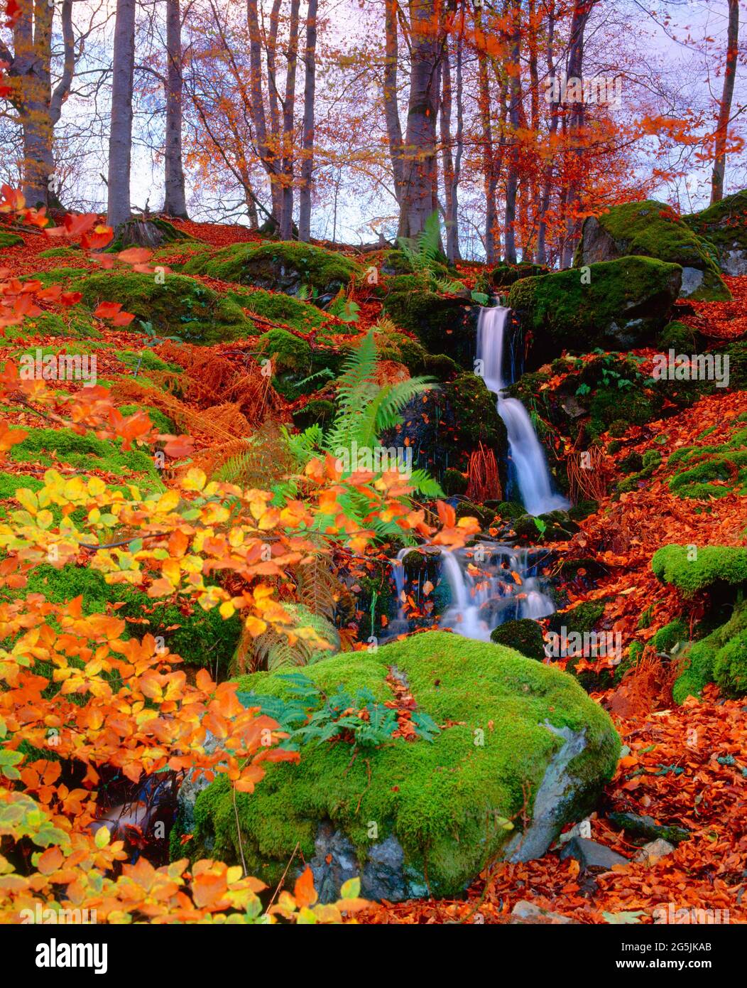 waterfall over escarpment, autumn, Scotland, Highlands Stock Photo - Alamy