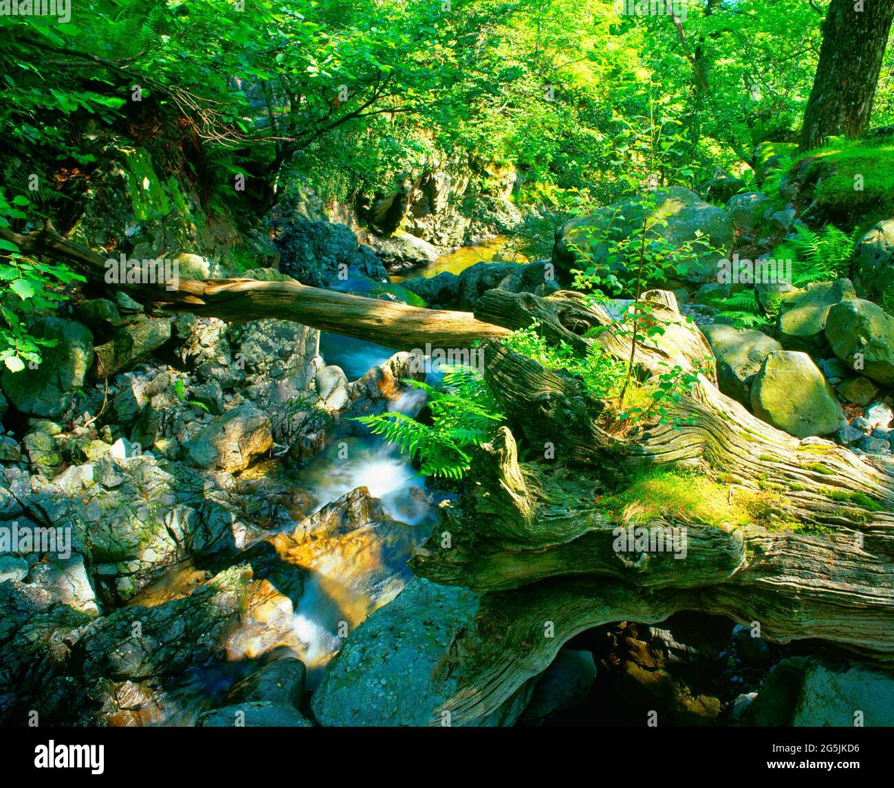 New Bridge River Derwent High Resolution Stock Photography and Images ...