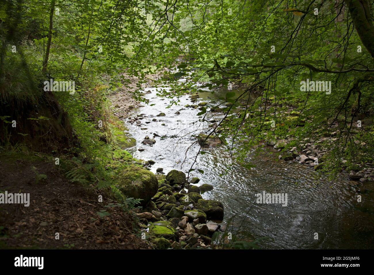Quiet stream shaded hi-res stock photography and images - Alamy