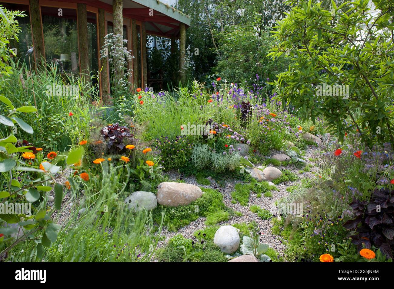 Wildlife border with herbs, annuals, gravel path and studio Stock Photo ...