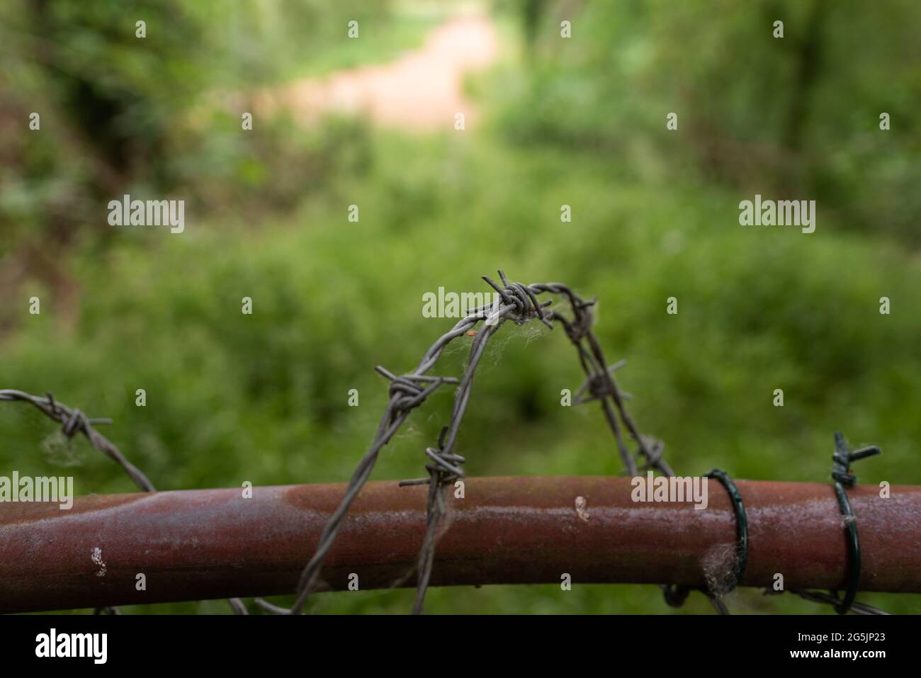 Bob wire hi-res stock photography and images - Alamy