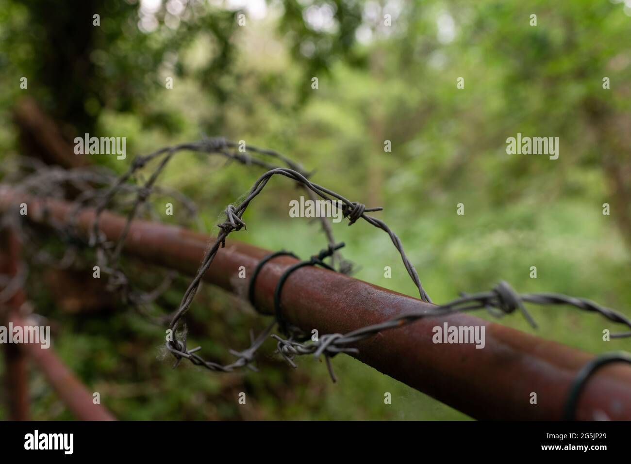 Bob wire hi-res stock photography and images - Alamy