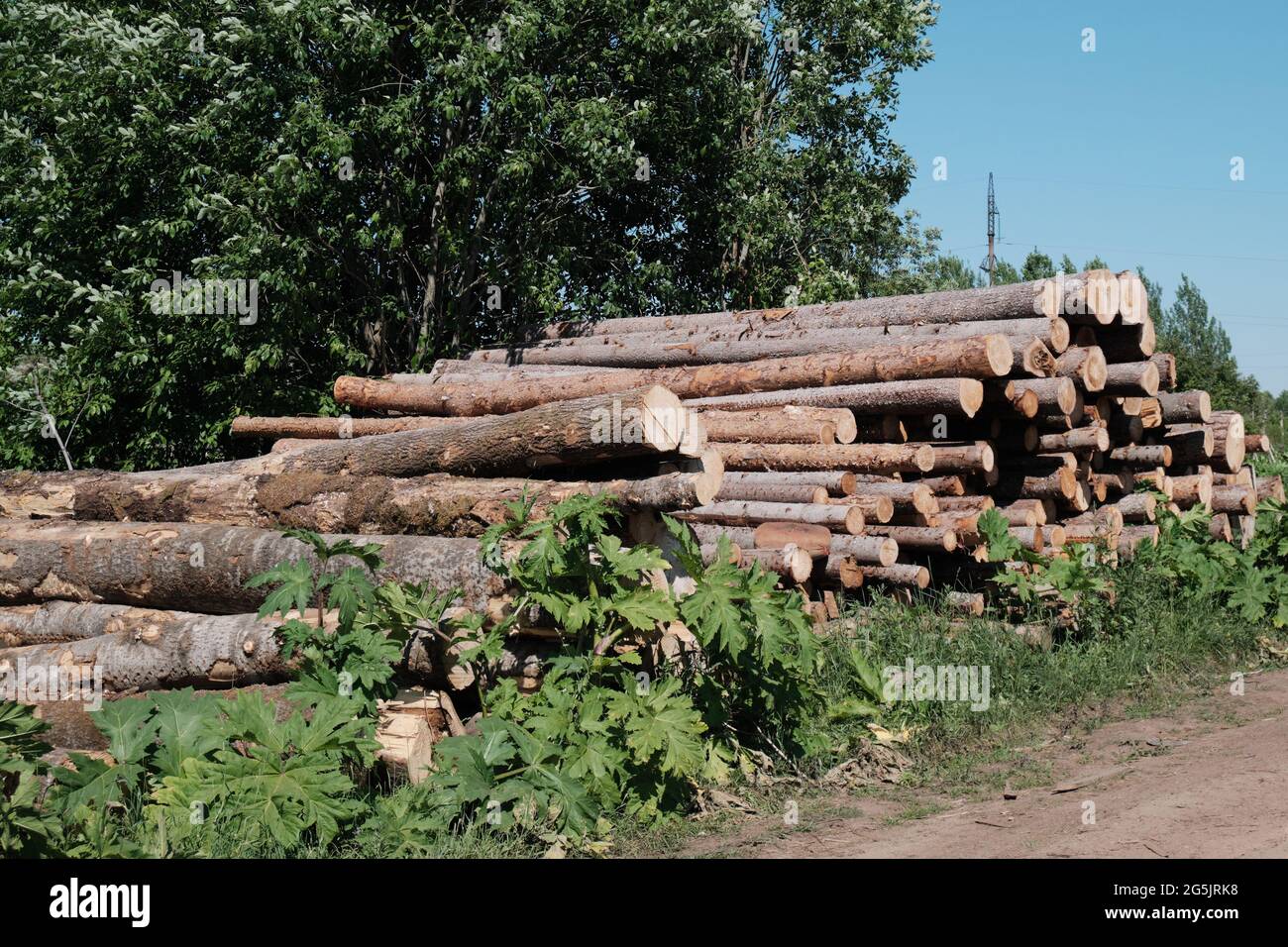 Processing industry hi-res stock photography and images - Alamy