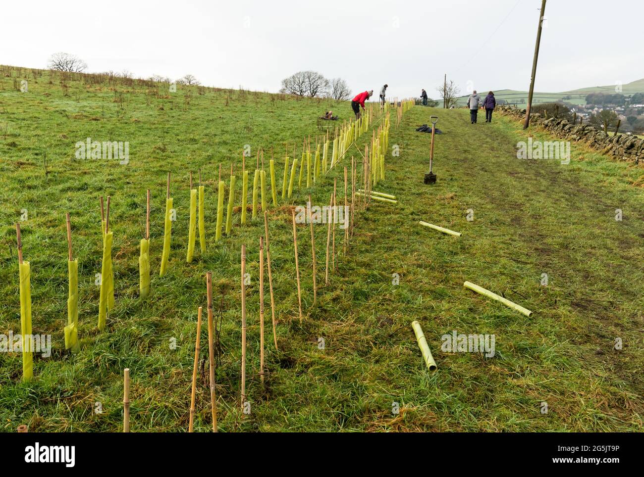 Rewilding projects hi-res stock photography and images - Alamy