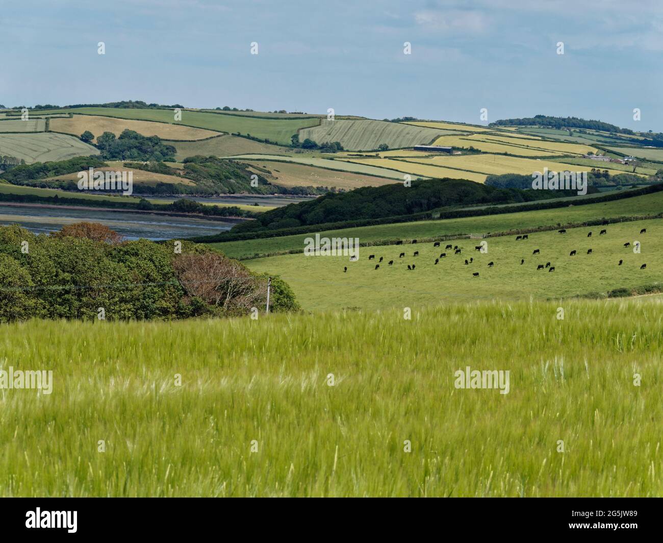 Farming , Holidays, Devon , England , UK Stock Photo - Alamy