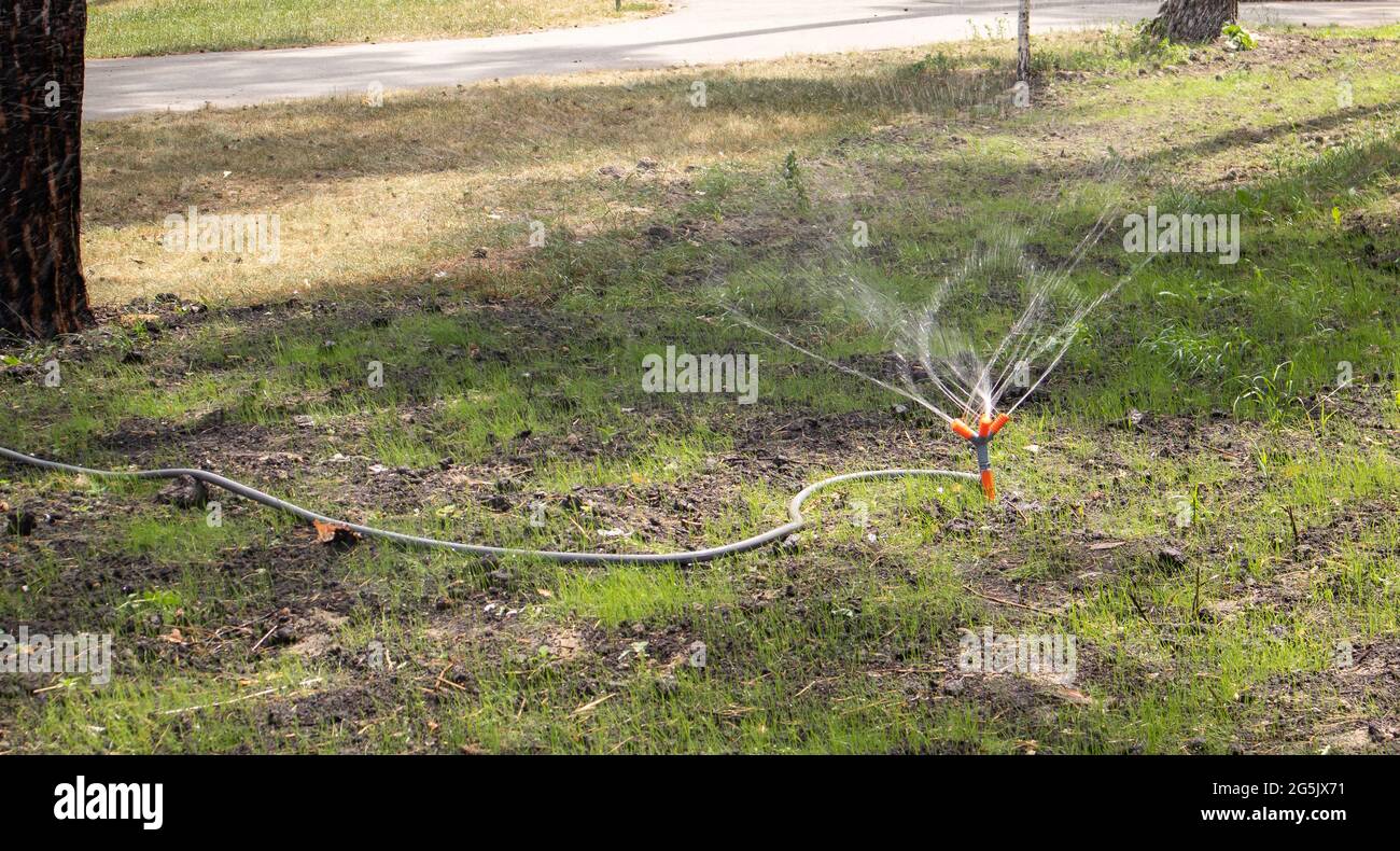 Lawn irrigation system working in a green park. Spraying the lawn with ...