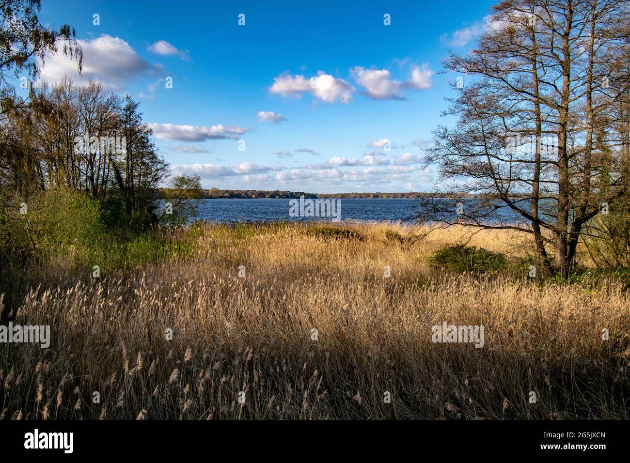 Beautiful scenery of the sea with grass growing on the beach Stock ...