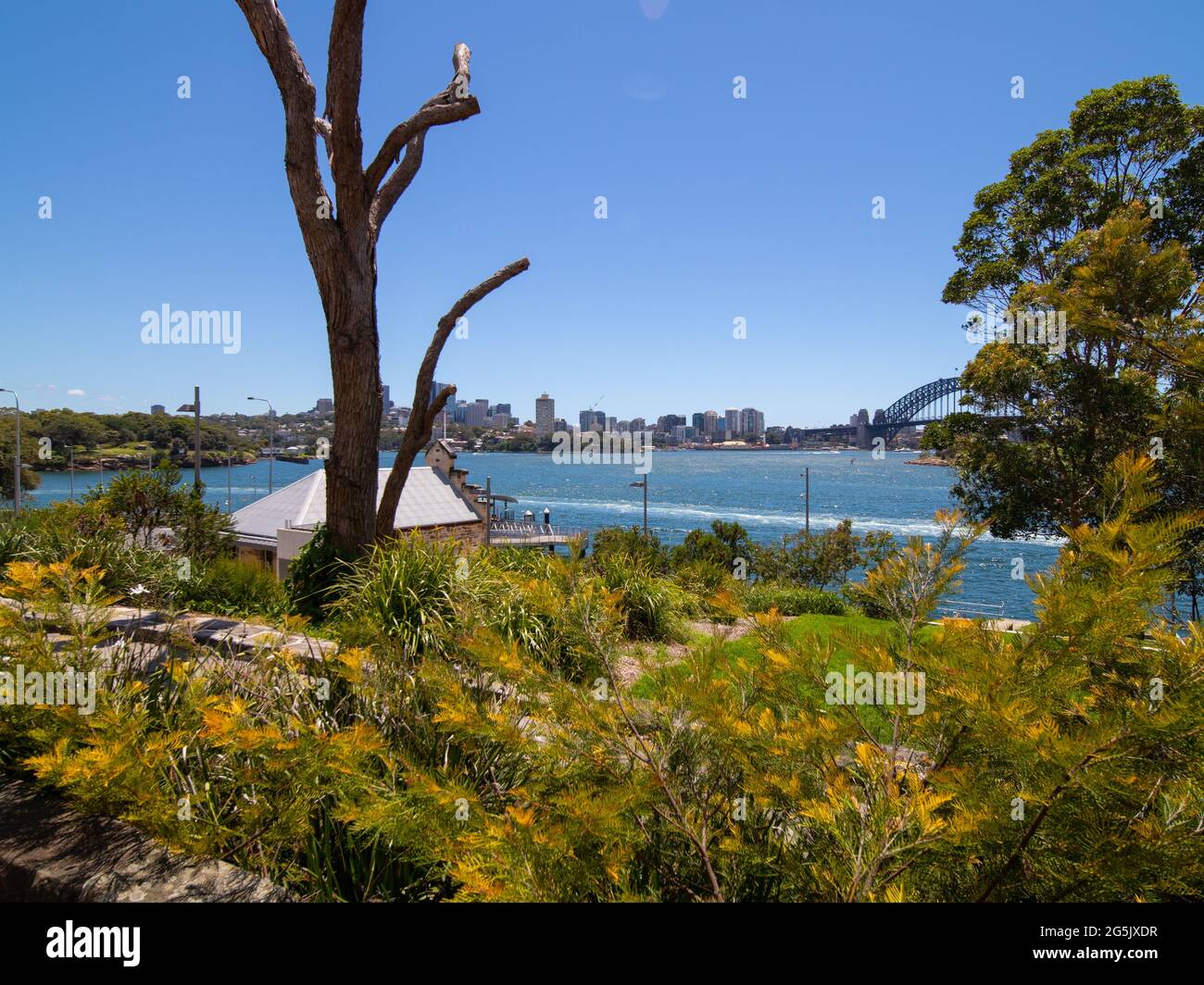 View of Sydney harbour and CDB on a beautiful sunny blue sky clear blue ...