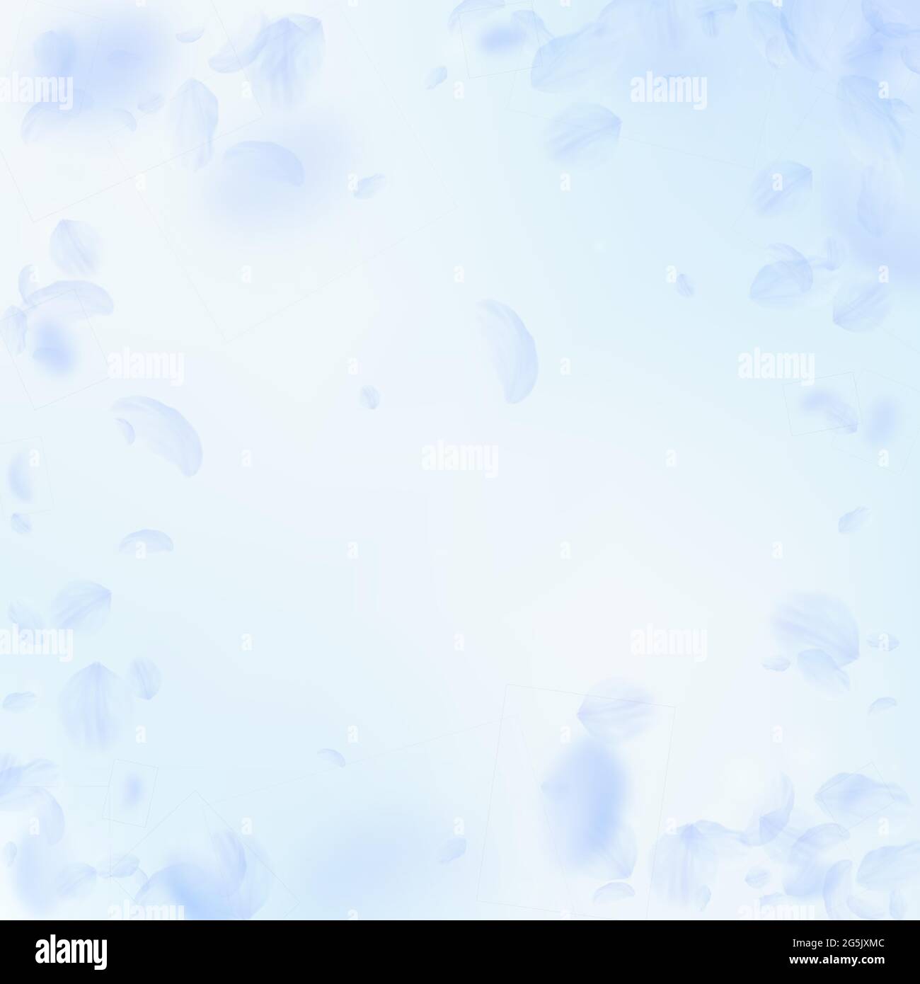 Light blue flower petals falling down. Tempting romantic flowers ...