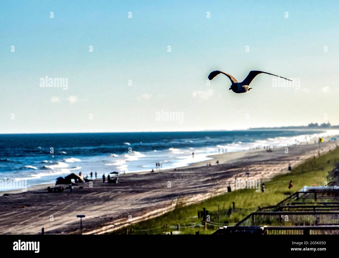Flying over sea beach dunes hi-res stock photography and images - Alamy