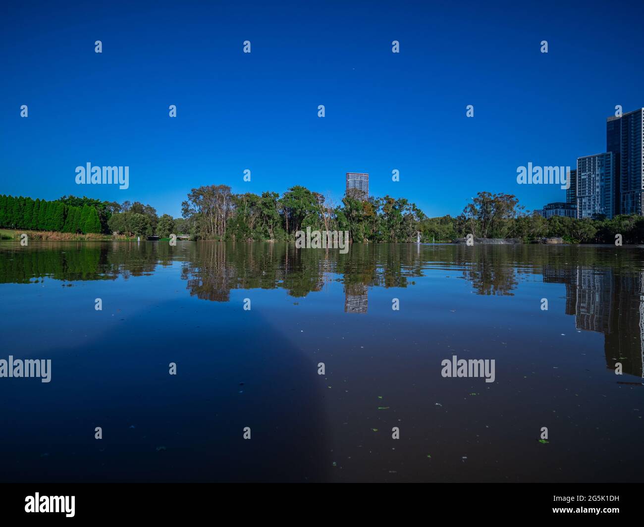 Views of wildlife and bushland on Parramatta river foreshore Sydney NSW ...