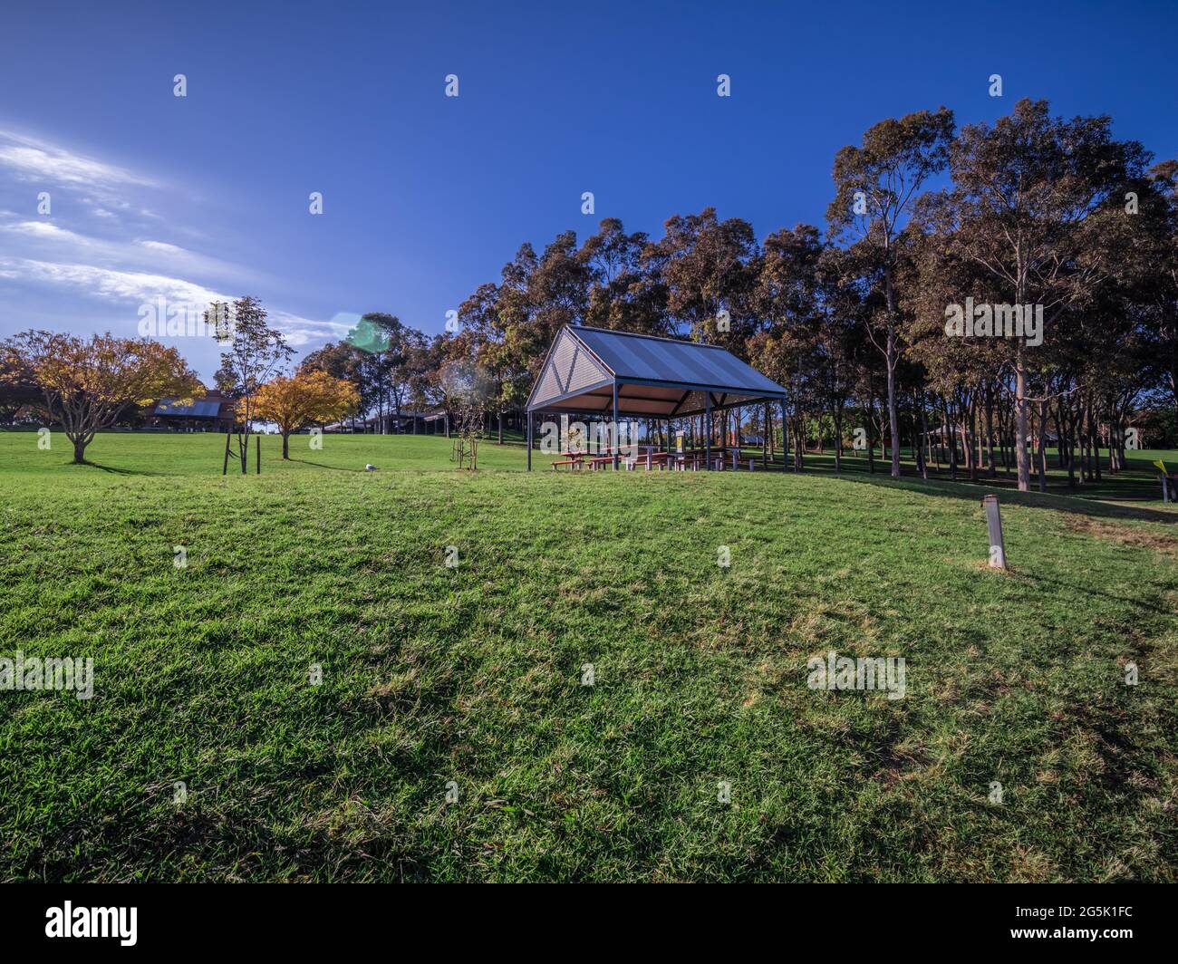 Views of wildlife and bushland on Parramatta river foreshore Sydney NSW ...