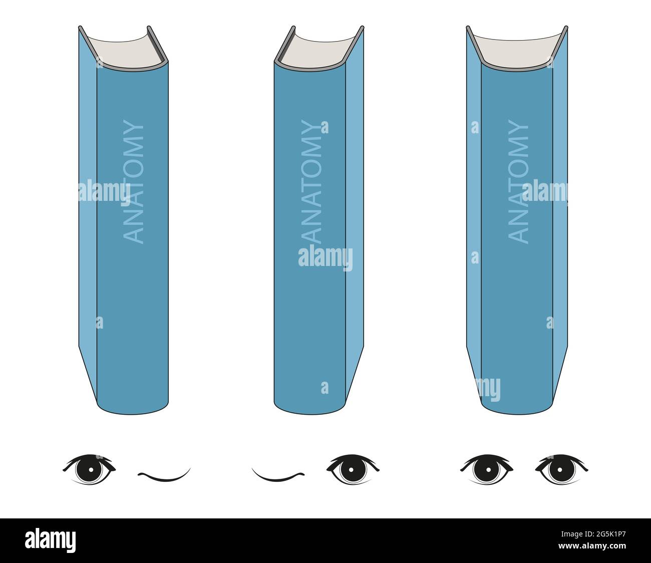 Normal retina hi-res stock photography and images - Alamy