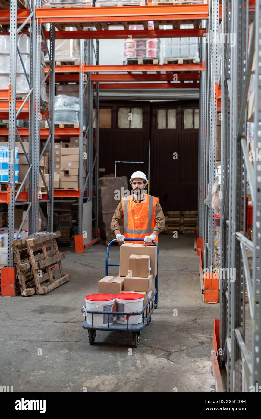 Loader in workwear pushing cart with goods while walking along racks ...