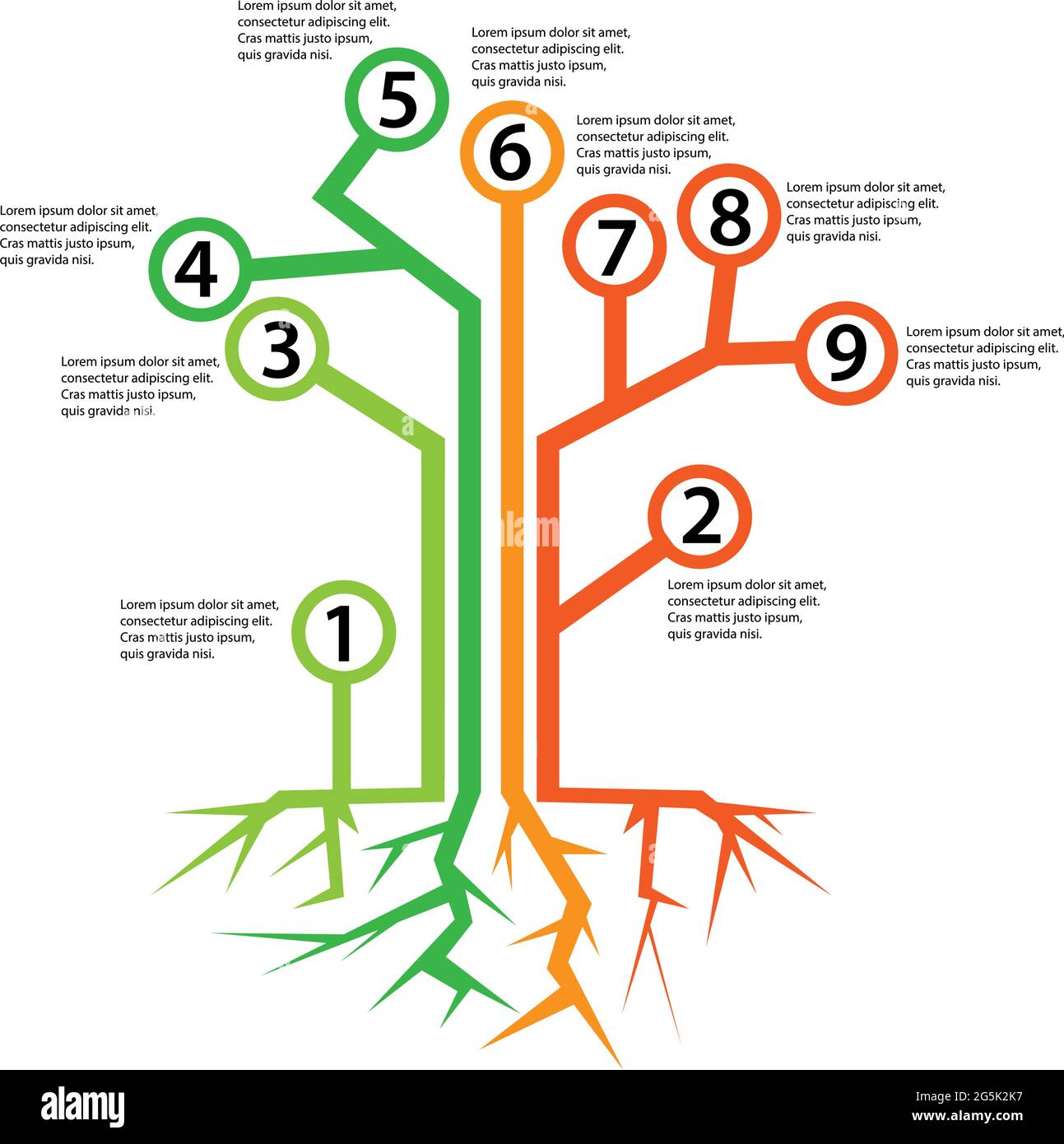 Infographic tree diagram management hi-res stock photography and images ...