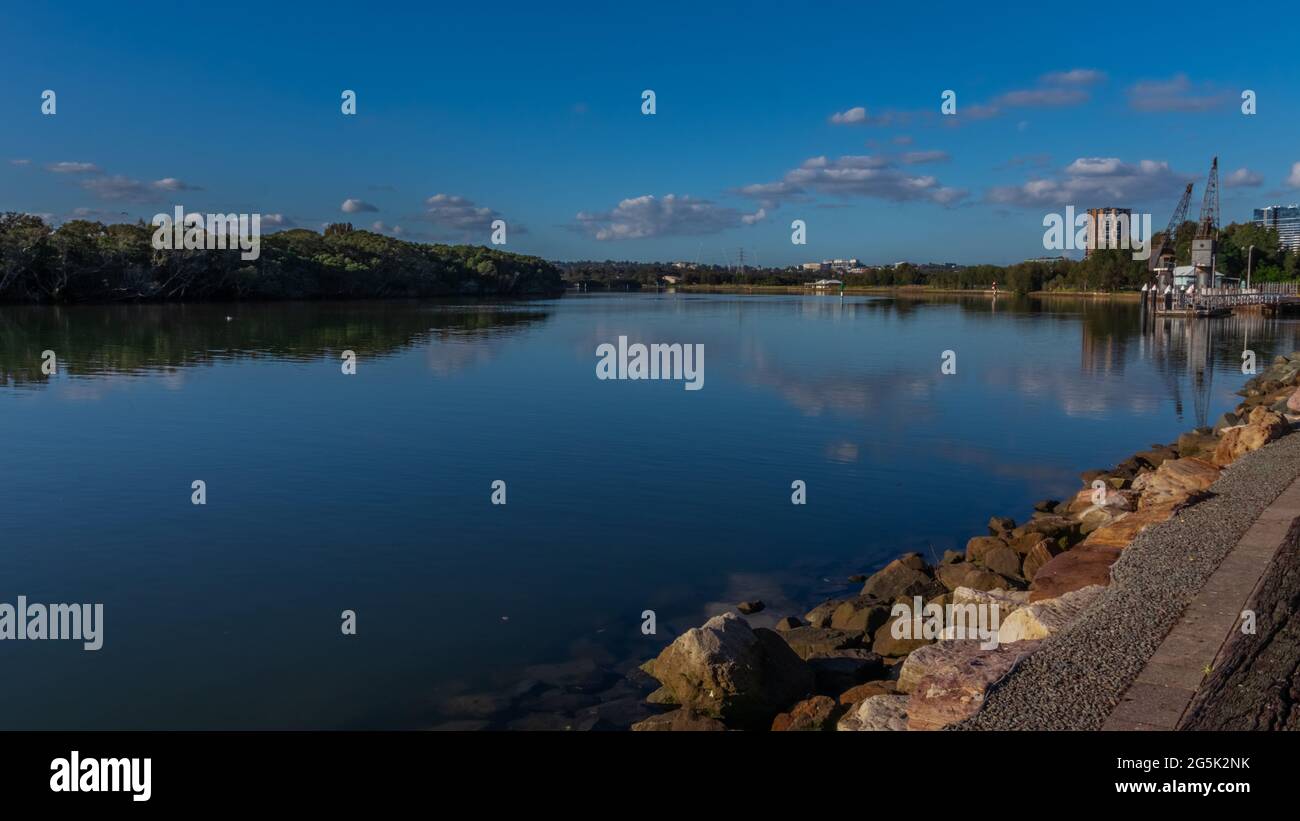 Views of wildlife and bushland on Parramatta river foreshore Sydney NSW ...