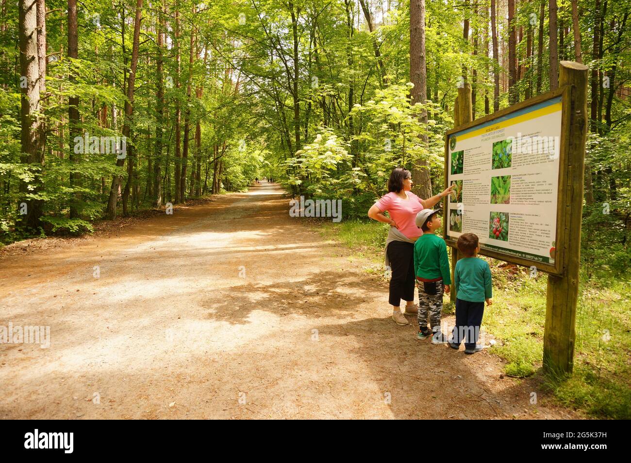 Children forest sign board hi-res stock photography and images - Alamy