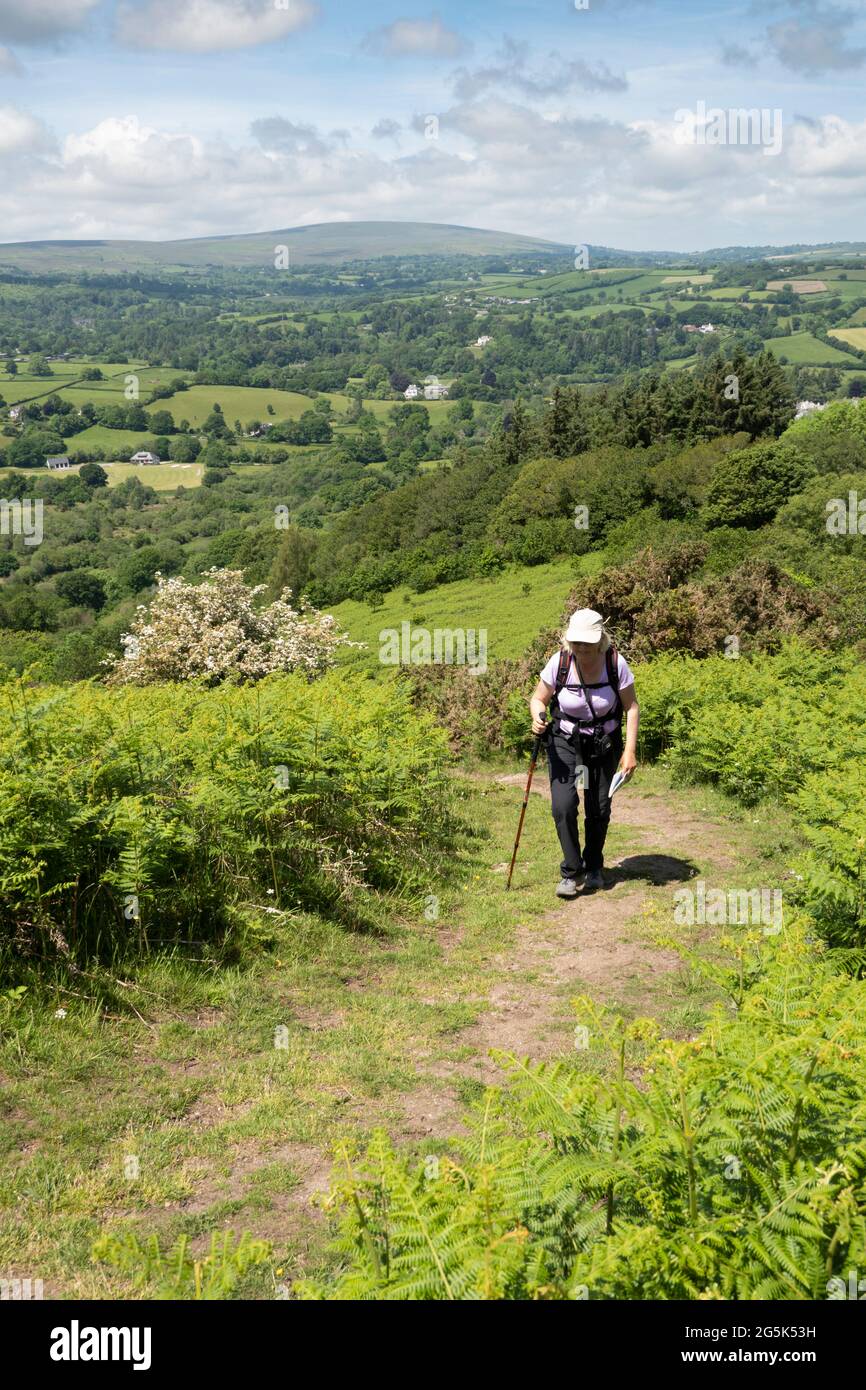Typical devon landscape hi-res stock photography and images - Alamy