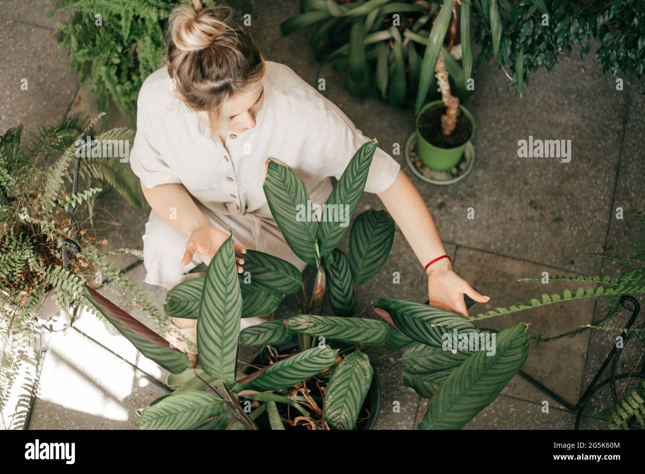Photo of young unrecognizable woman with bun on her head, top view ...