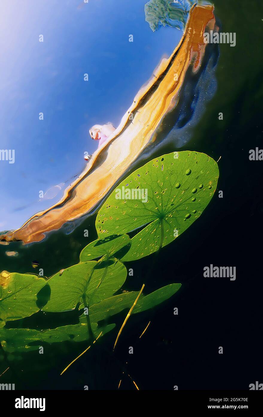 Wander from fishing hi-res stock photography and images - Alamy