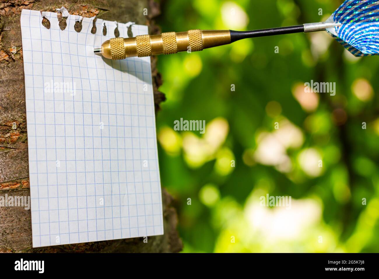 A checkered sheet pinned to a tree. Blank sheet for the message. A ...