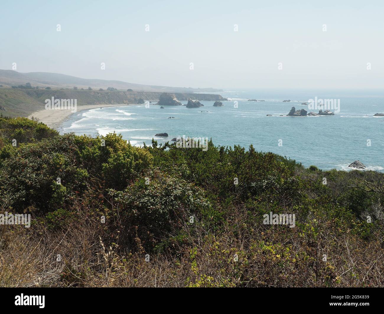Wavy beach of the ocean with rocks and trees Stock Photo - Alamy