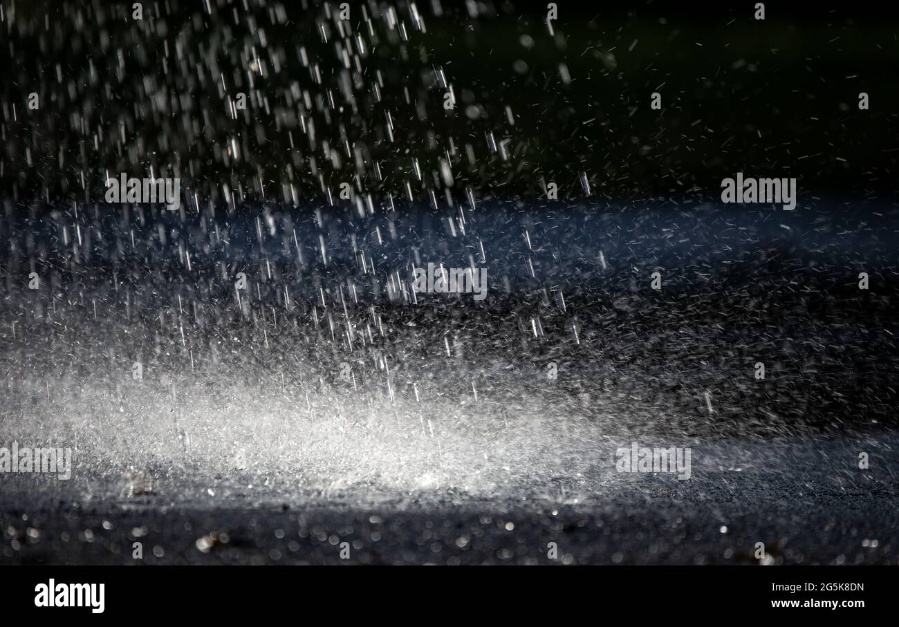 Night rain. Drops fall on the wet cold asphalt Stock Photo - Alamy