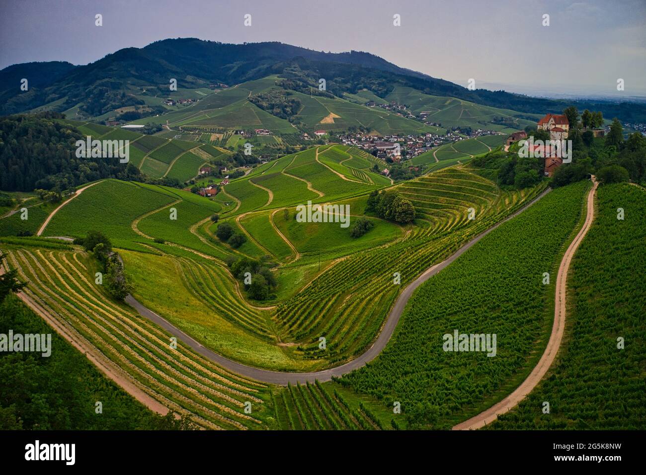 Durbach Schloss Staufenberg Schwarzwald Black Forest Germany Stock ...