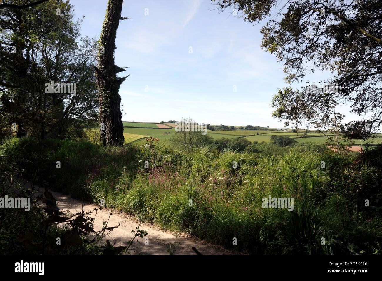 ENGLISH COUNTRY LANE. CORNISH LANDSCAPE Stock Photo - Alamy