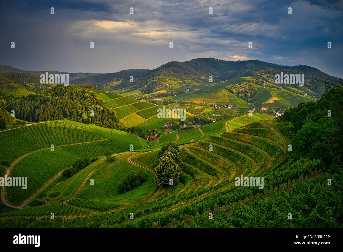 Durbach Schloss Staufenberg Schwarzwald Black Forest Germany Stock ...