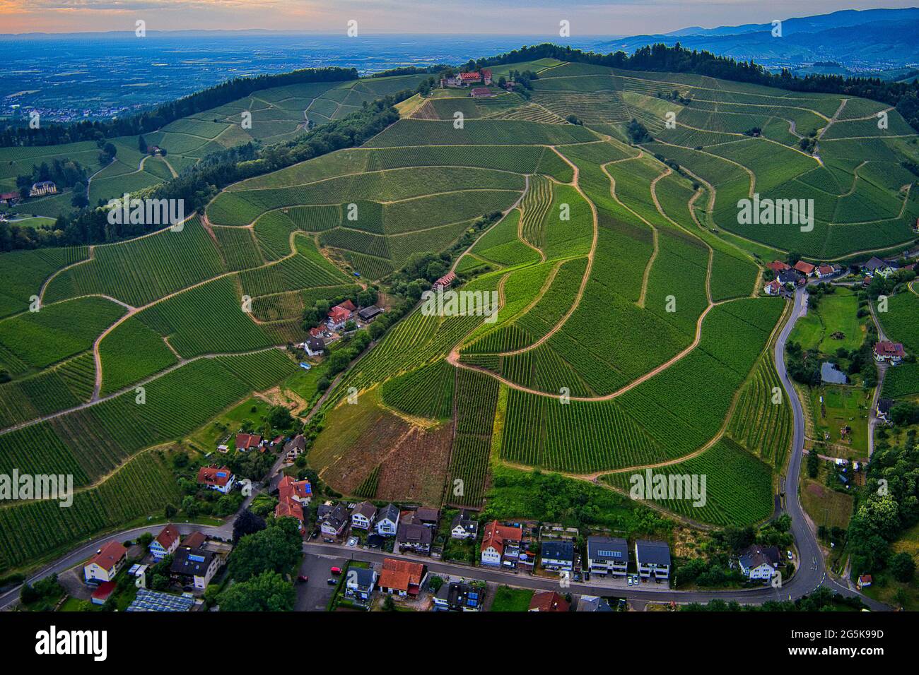 Durbach Schloss Staufenberg Schwarzwald Black Forest Germany Stock ...