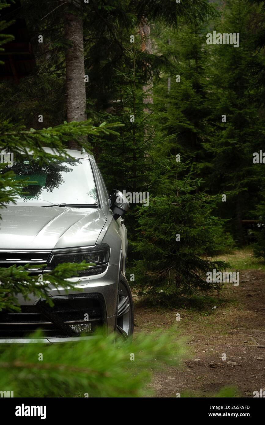 Evergreen a class hi-res stock photography and images - Alamy