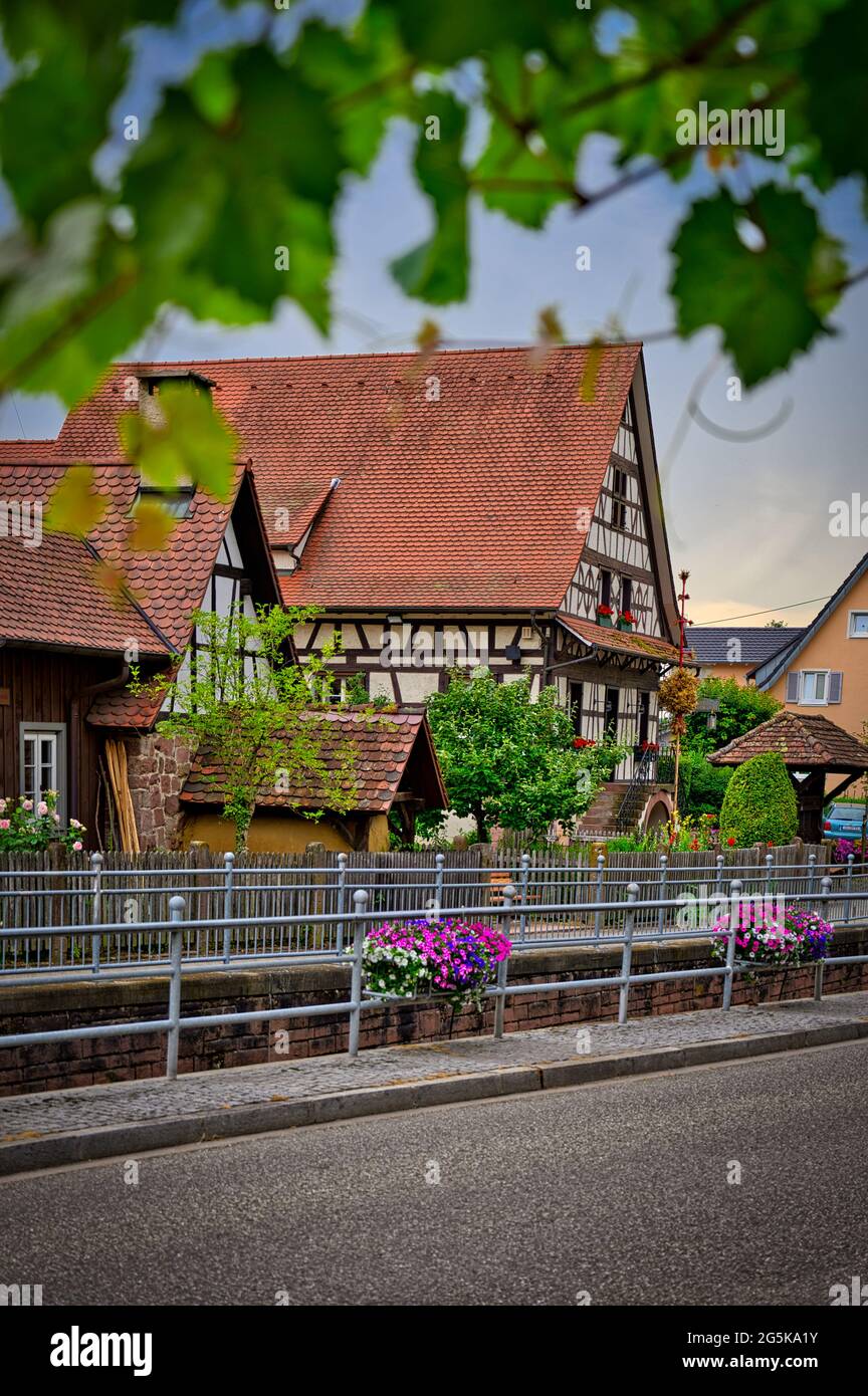 Durbach Schloss Staufenberg Schwarzwald Black Forest Germany Stock ...
