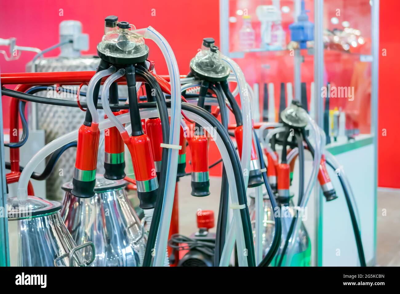 Teat cups of automated cow milking suction machine Stock Photo - Alamy