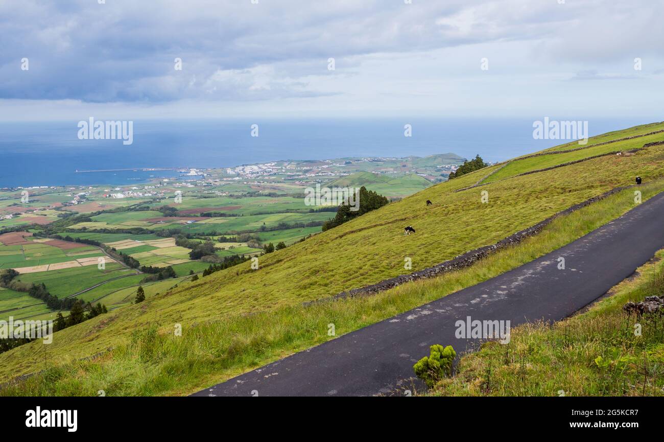 Top view of farm fields in the Terceira island in Azores, Portugal ...