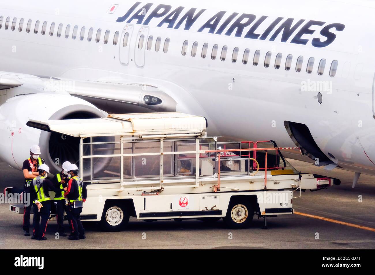 A Japan Airlines (JAL) airplane seen at the Tokyo International Airport ...