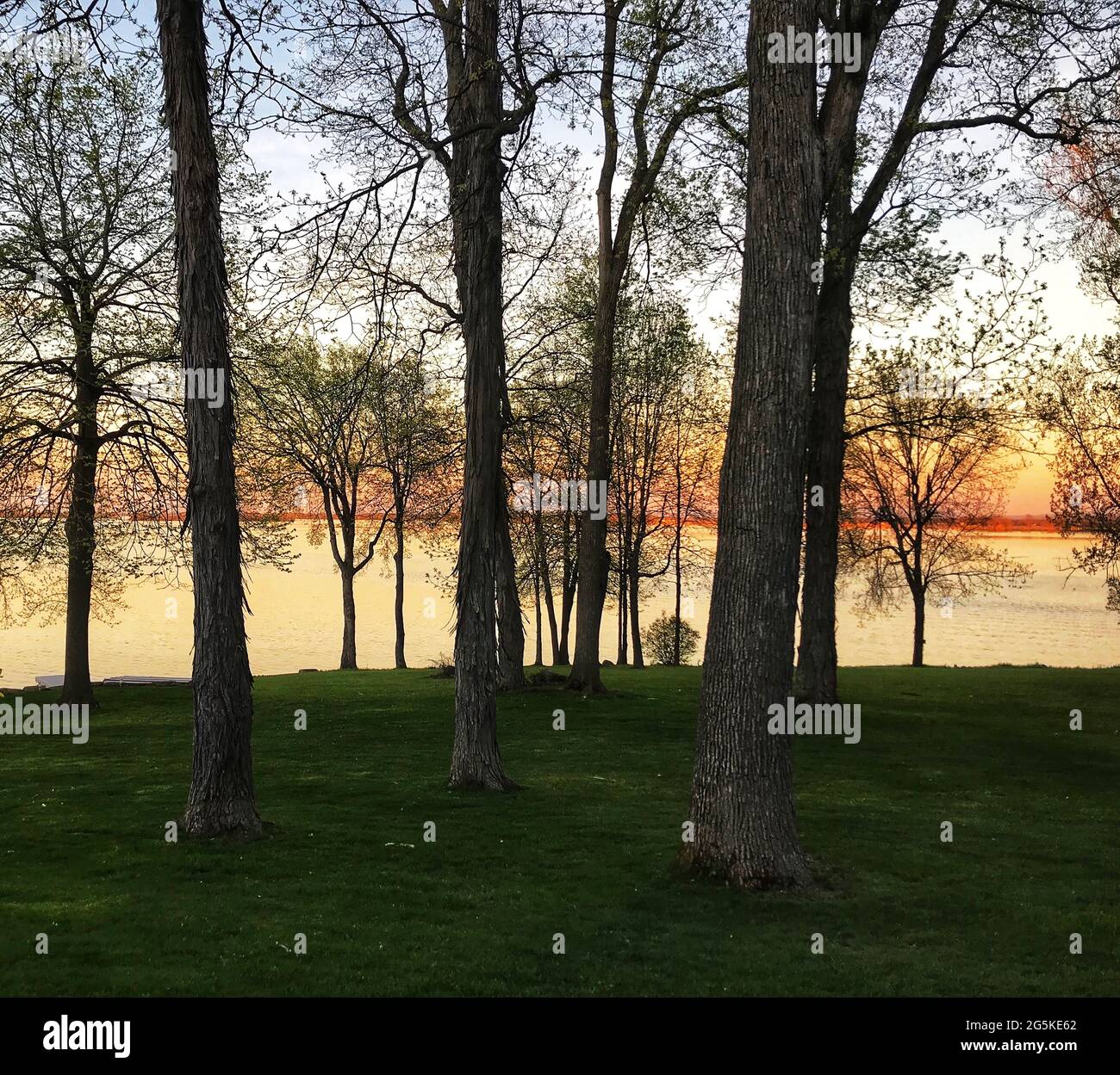 Waters with rivers and nature trees landscape landscape trees hi-res ...