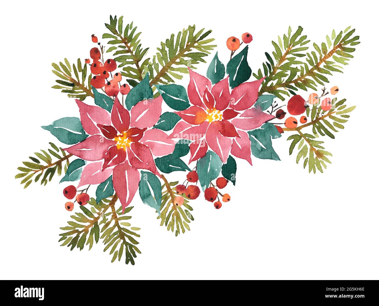 Watercolor floral arrangement of Christmas evergreens. Poinsettia ...