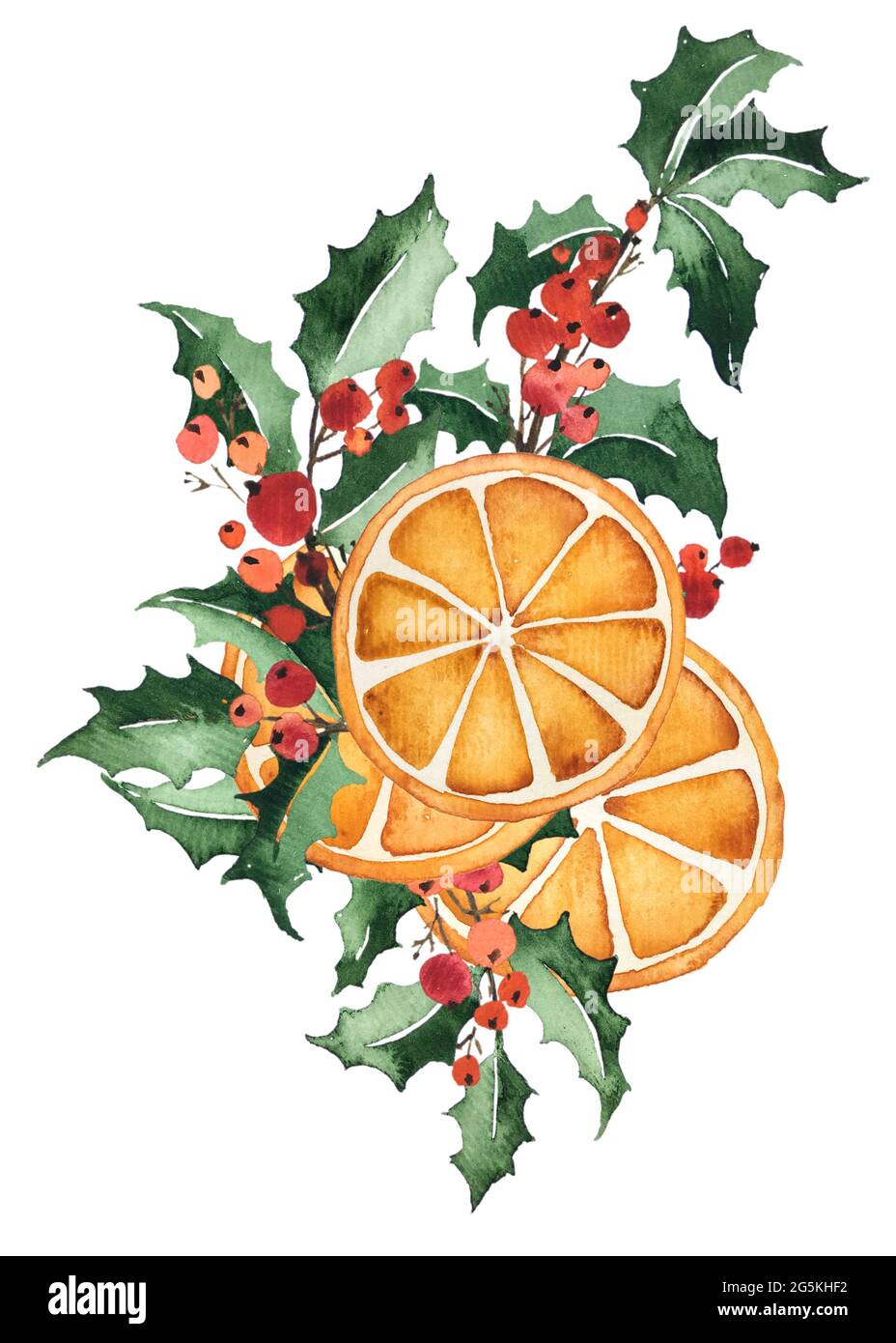 Orange holly berries hi-res stock photography and images - Alamy