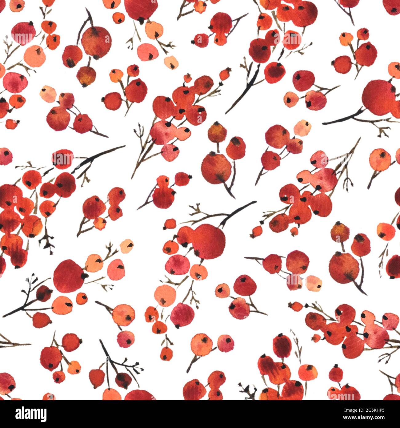 Watercolor red berries hi-res stock photography and images - Alamy