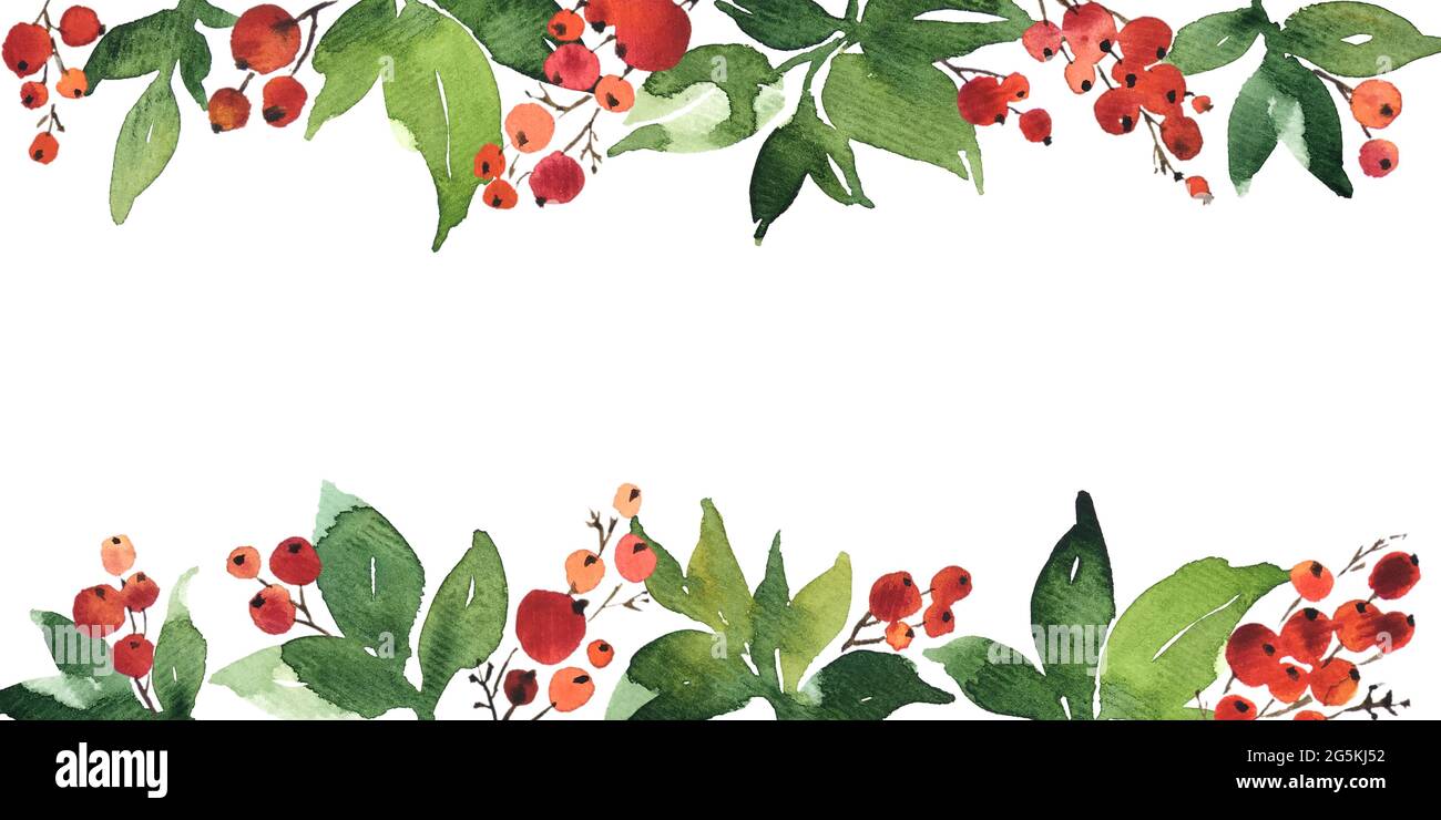 Christmas Holly Berry Border