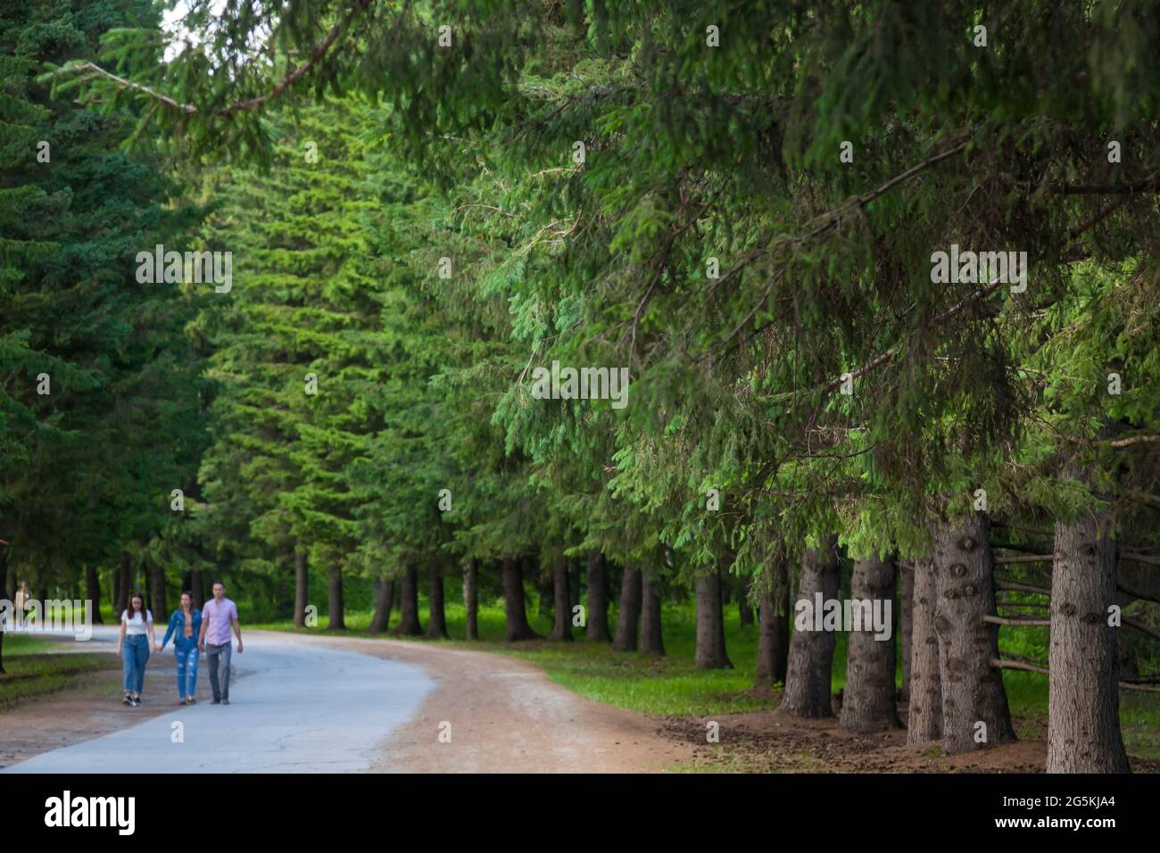 Novosibirsk, Russia - 21. 06. 21: Botanical garden with large beautiful ...